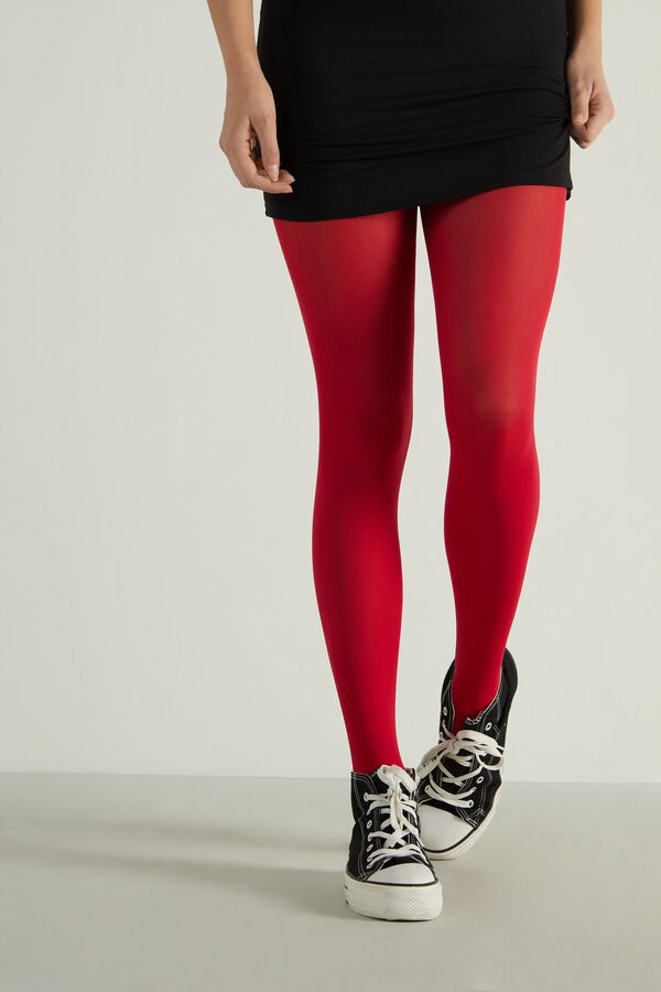 50 Denier Microfibre Coloured Tights - Tights and Stockings - Women ...
